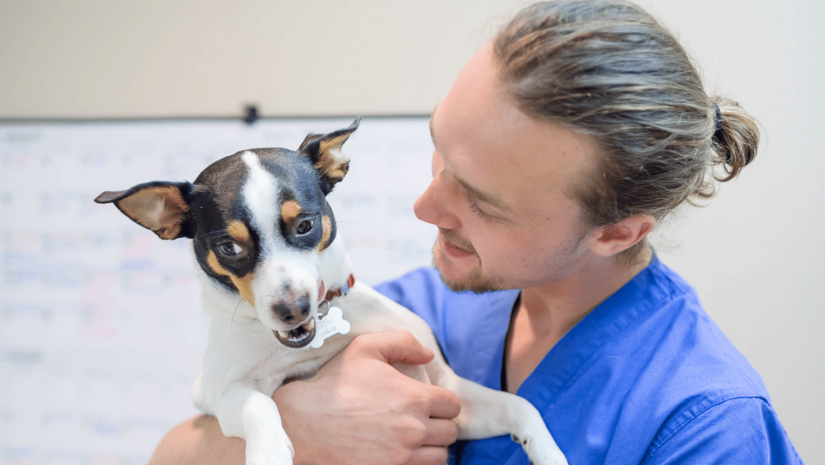 Fitzpatrick Referrals Student Placement: Research & Data Tasks